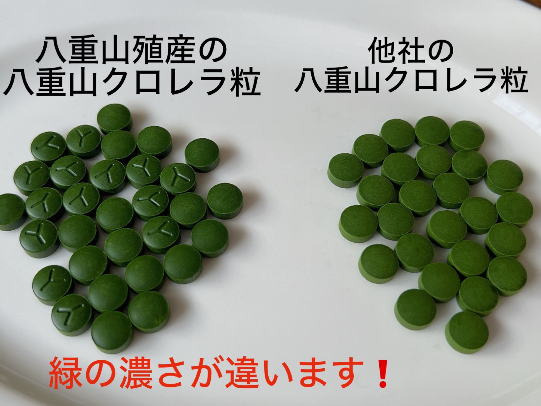 石垣島の八重山殖産の工場を訪ねて - 八重山クロレラの歴史とその健康効果 - Nihonjinfufuの小恰好商店はじめました